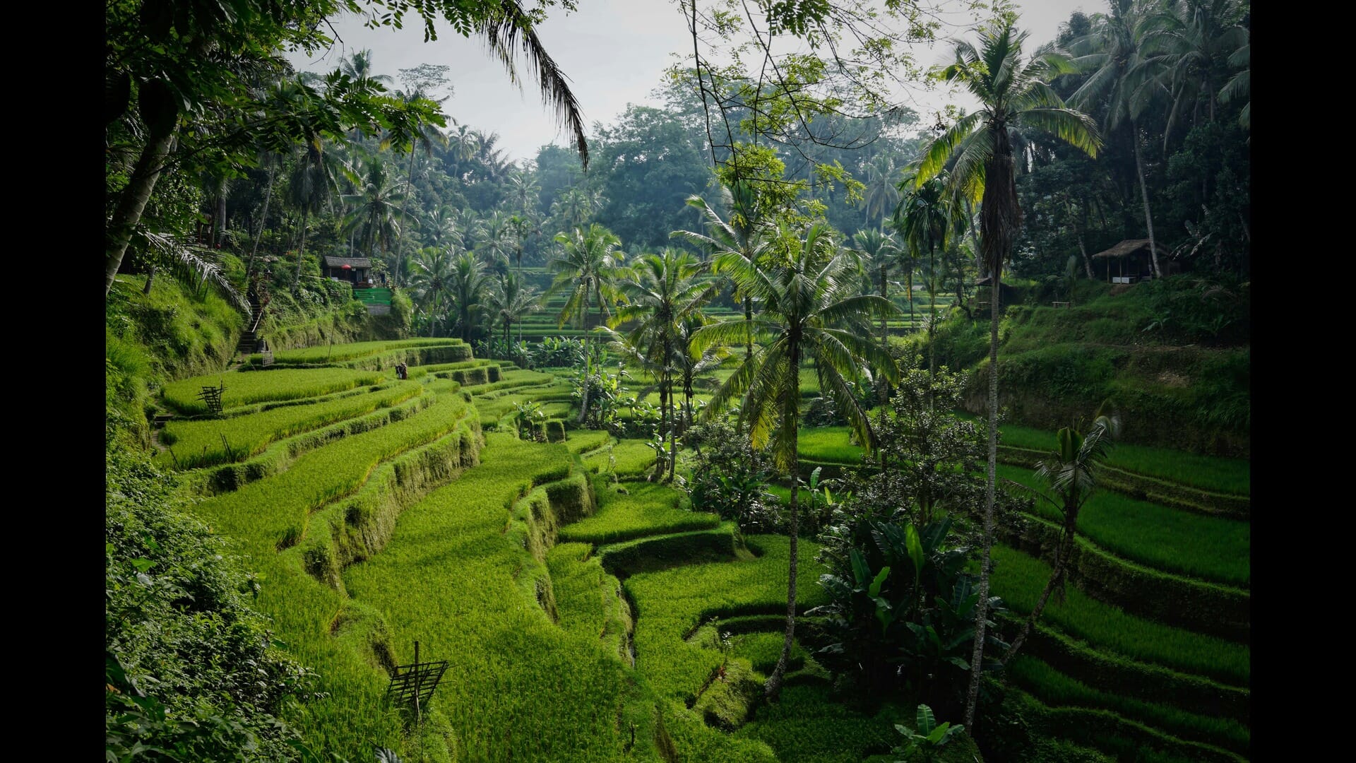 Explore the Sacred Mount Agung: Bali's Spiritual Heart and Hiking Adventure